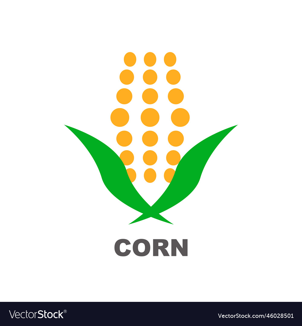 Corn logo Royalty Free Vector Image - VectorStock
