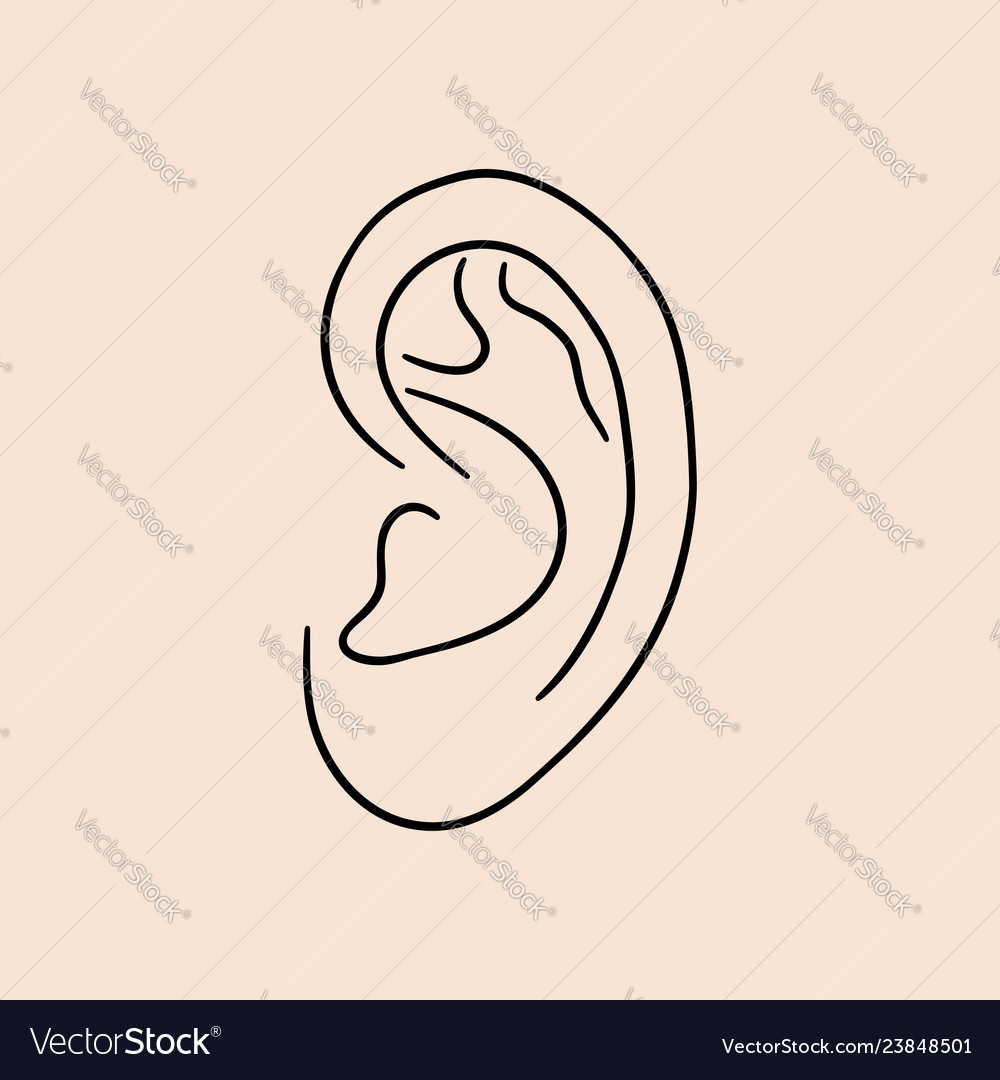 Ear human Royalty Free Vector Image - VectorStock