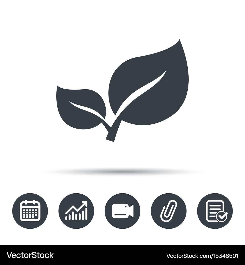 Leaf icon fresh organic product sign Royalty Free Vector