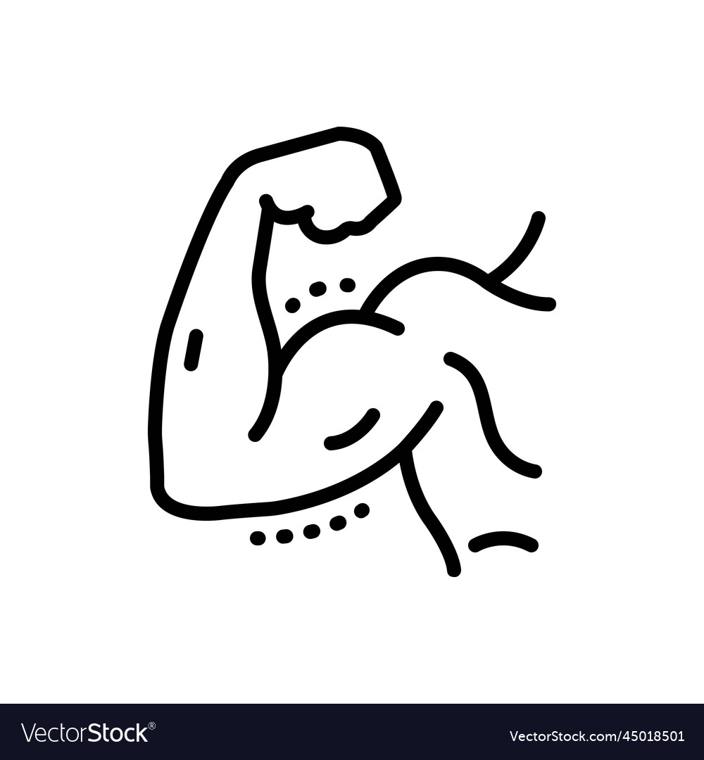 Muscle Royalty Free Vector Image - VectorStock Muscle Royalty Free Vector Image - VectorStock