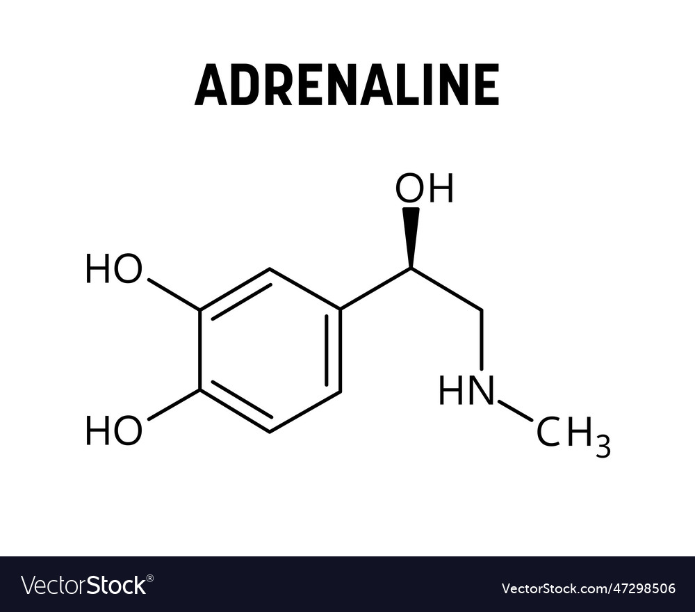 Adrenaline structural formula of molecular Vector Image