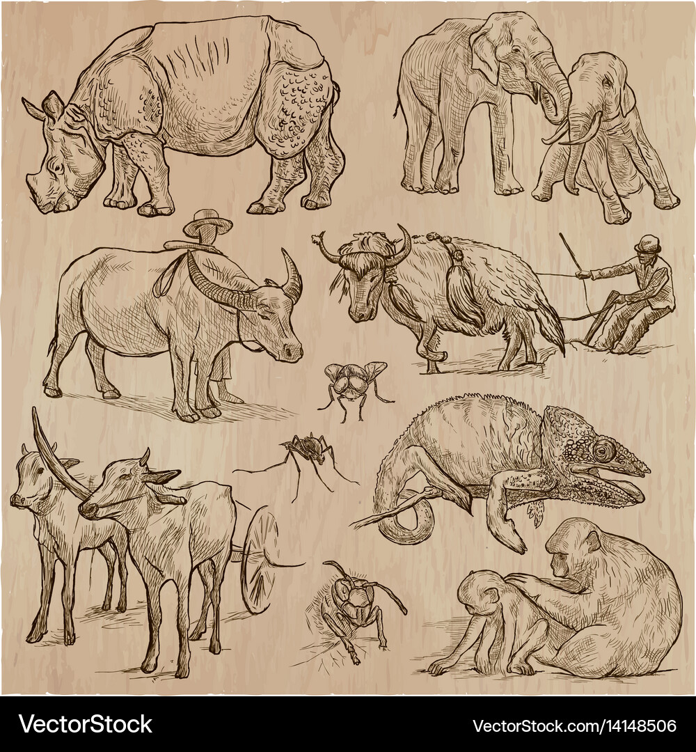 Hand Drawn Animals Pack Royalty Free Vector Image