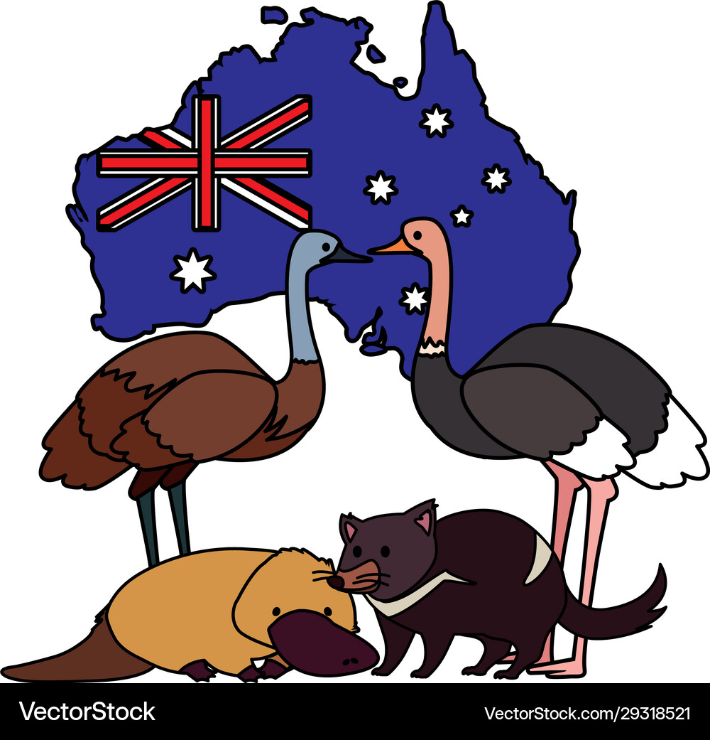 Animals australia with map australia Royalty Free Vector