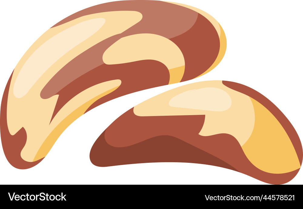 Brazil nut icon cartoon raw healthy seed Vector Image
