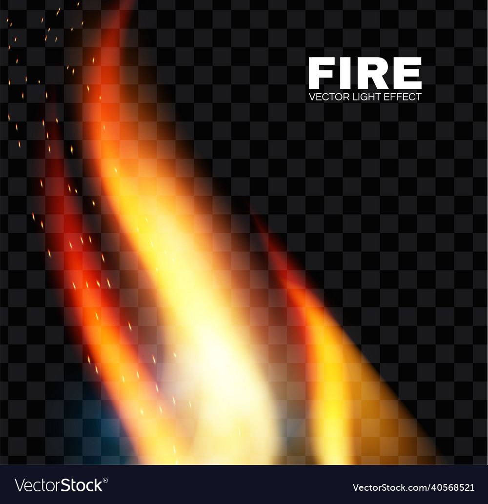 Fire transparent light effect with flying sparkls Vector Image