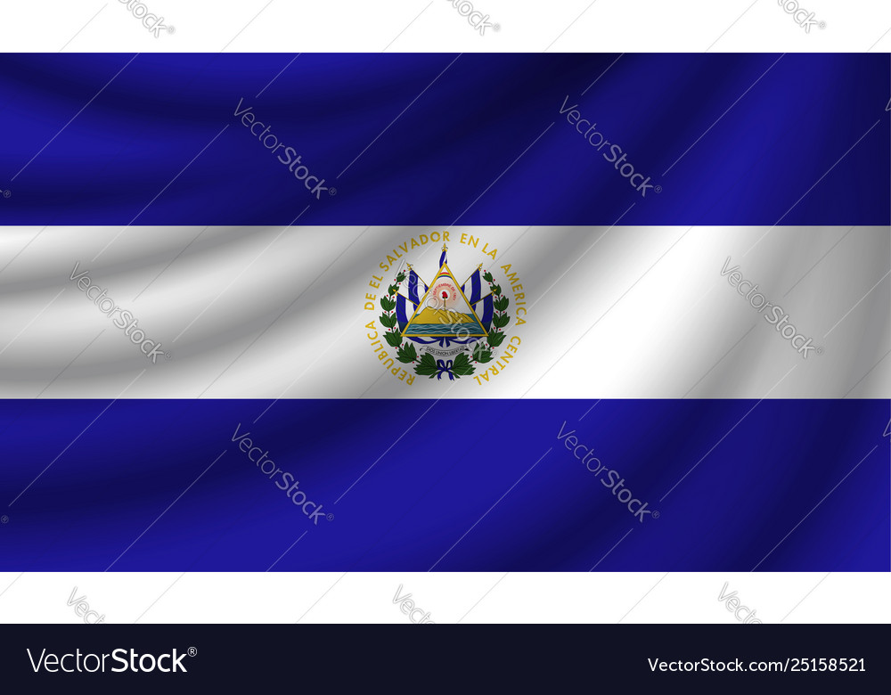 Realistic flag Royalty Free Vector Image - VectorStock