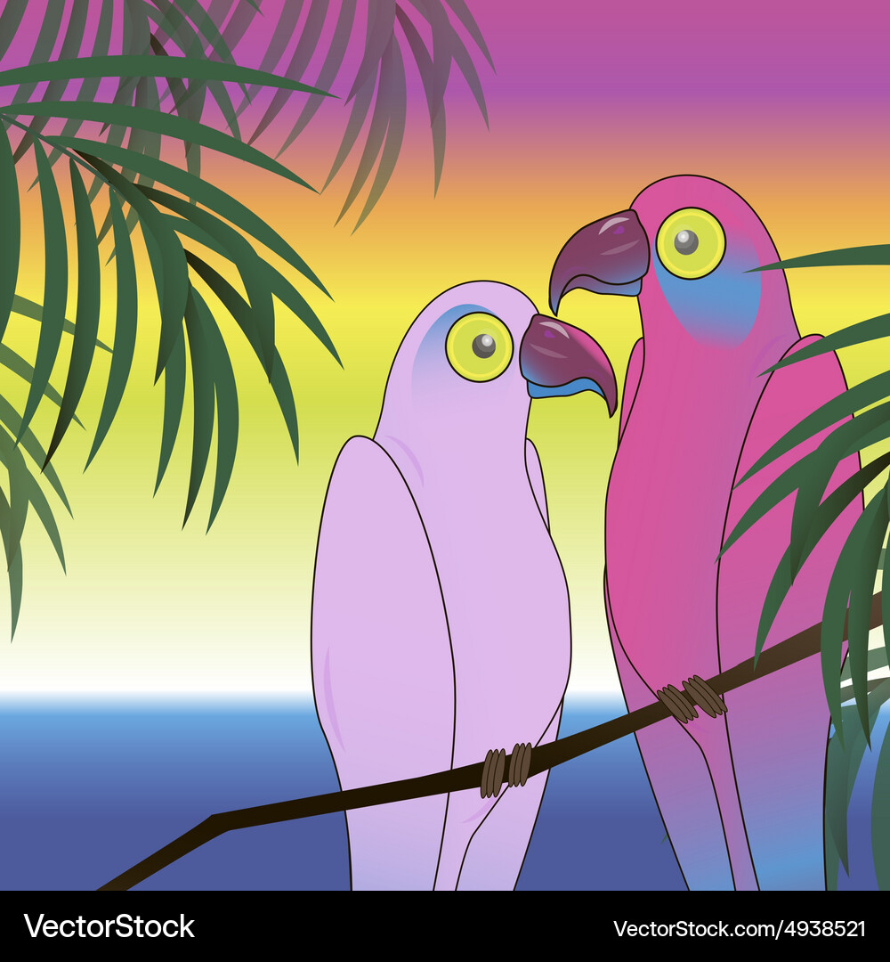 Two colourful parrot bird background Royalty Free Vector