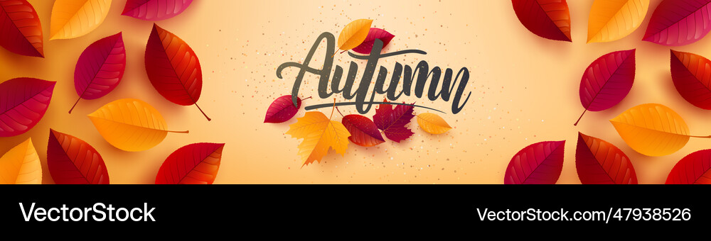 Autumn poster and banner template with Royalty Free Vector