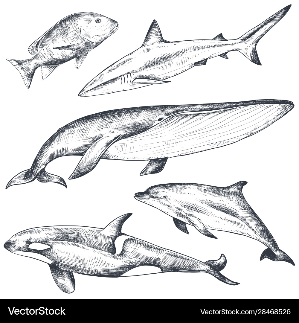 Collection hand drawn ocean and sea Royalty Free Vector