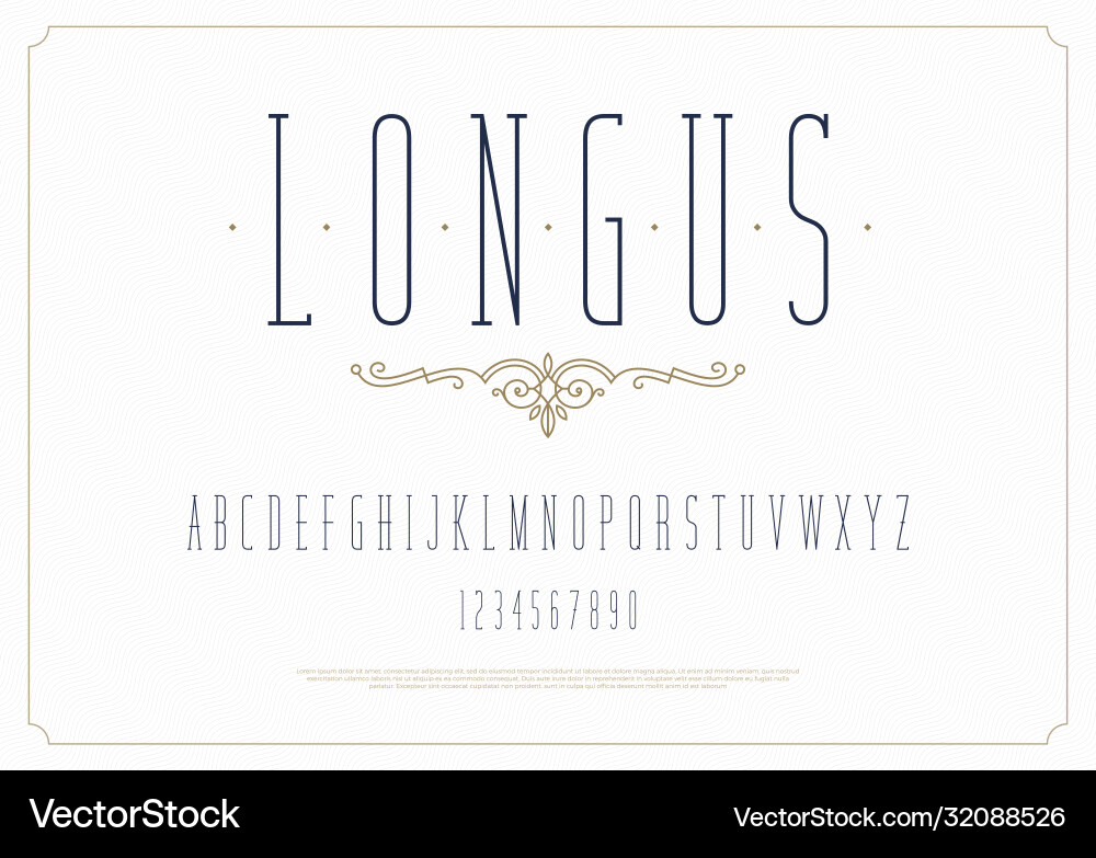 Elegant stylish font modern condensed typeface Vector Image