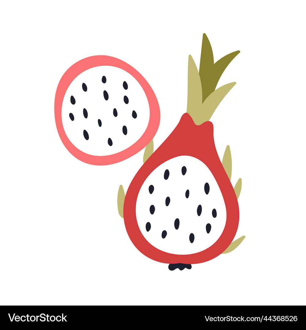 Pitaya half cut pitahaya with black seeds exotic Vector Image