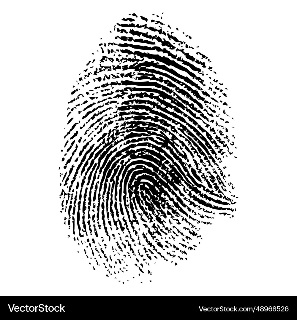 Realistic human fingerprint Royalty Free Vector Image