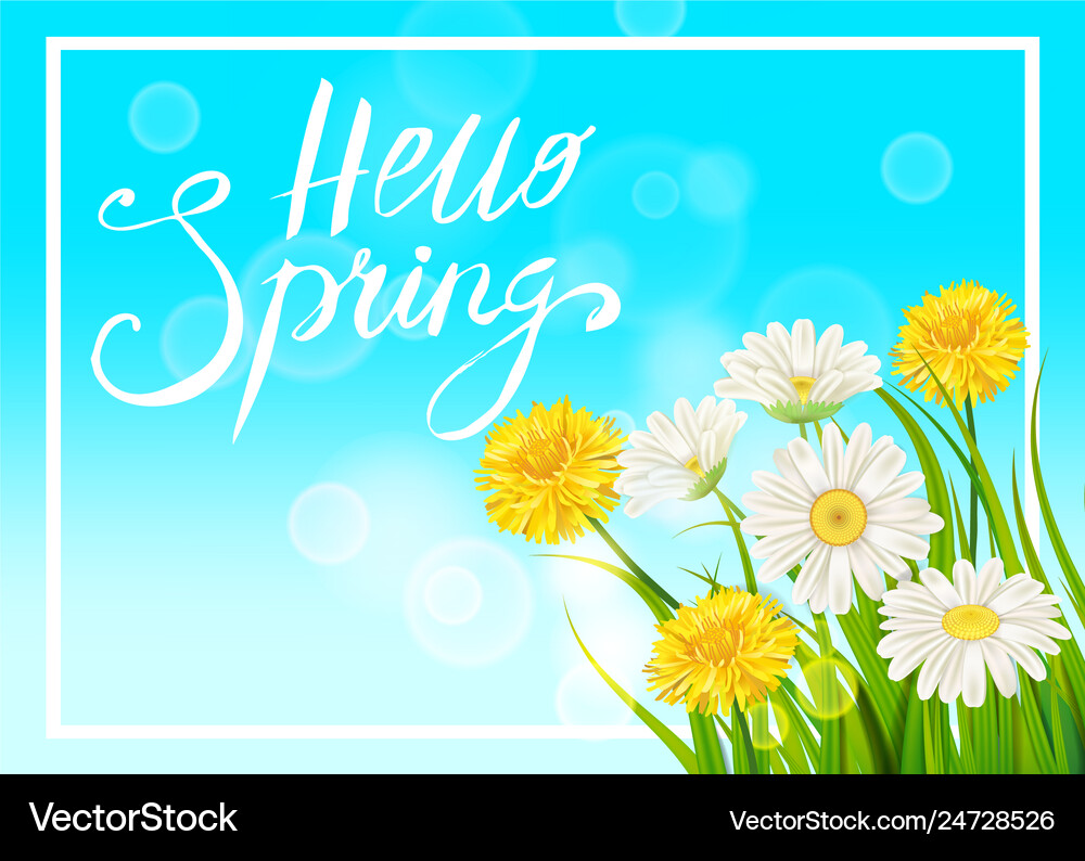 Spring daisies chamomiles dandelions juicy green Vector Image