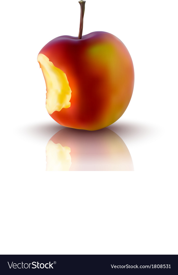 Apple Royalty Free Vector Image - VectorStock