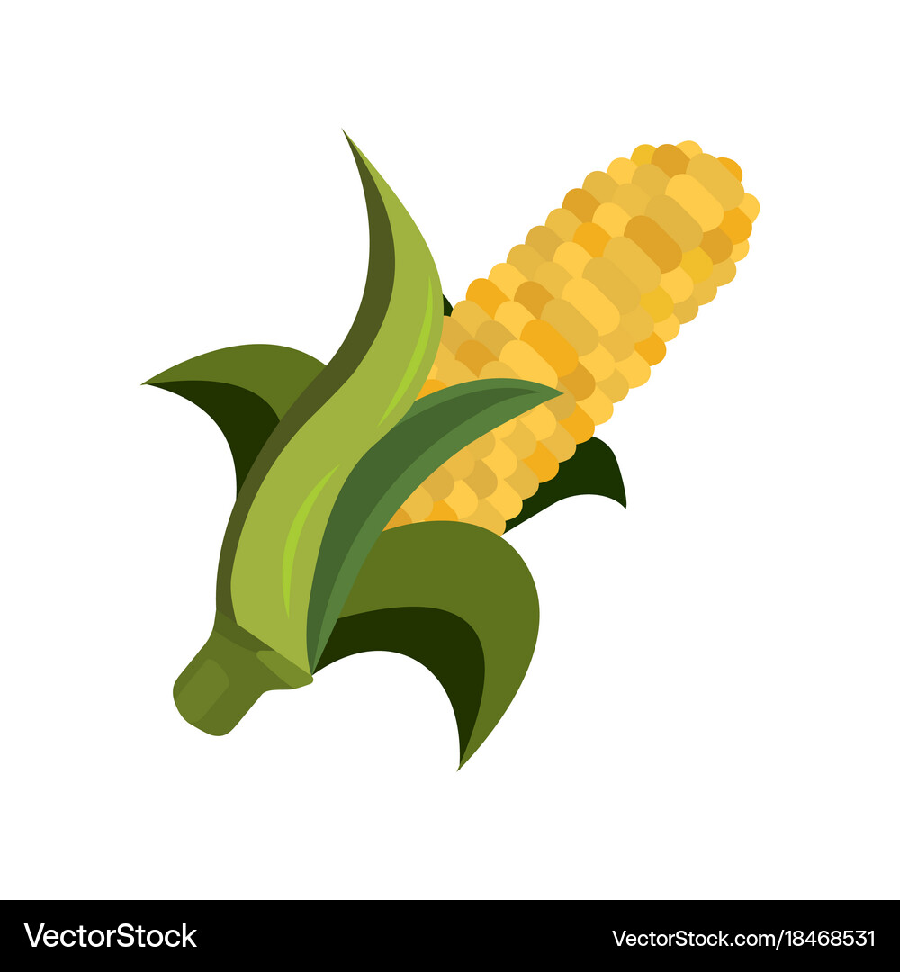 Corn icon cartoon style thanksgiving day Vector Image