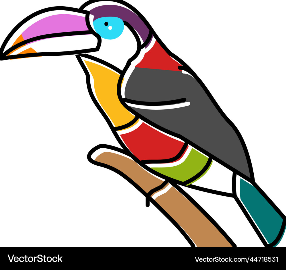 Aracari