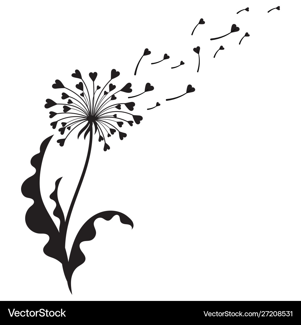 Dandelion with hearts black and white dandelion Vector Image