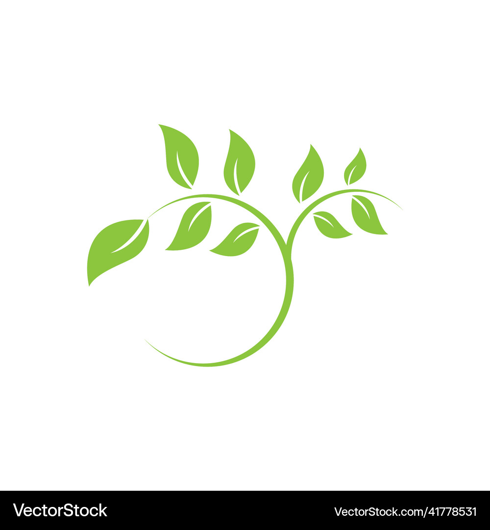 Leaf logo Royalty Free Vector Image - VectorStock