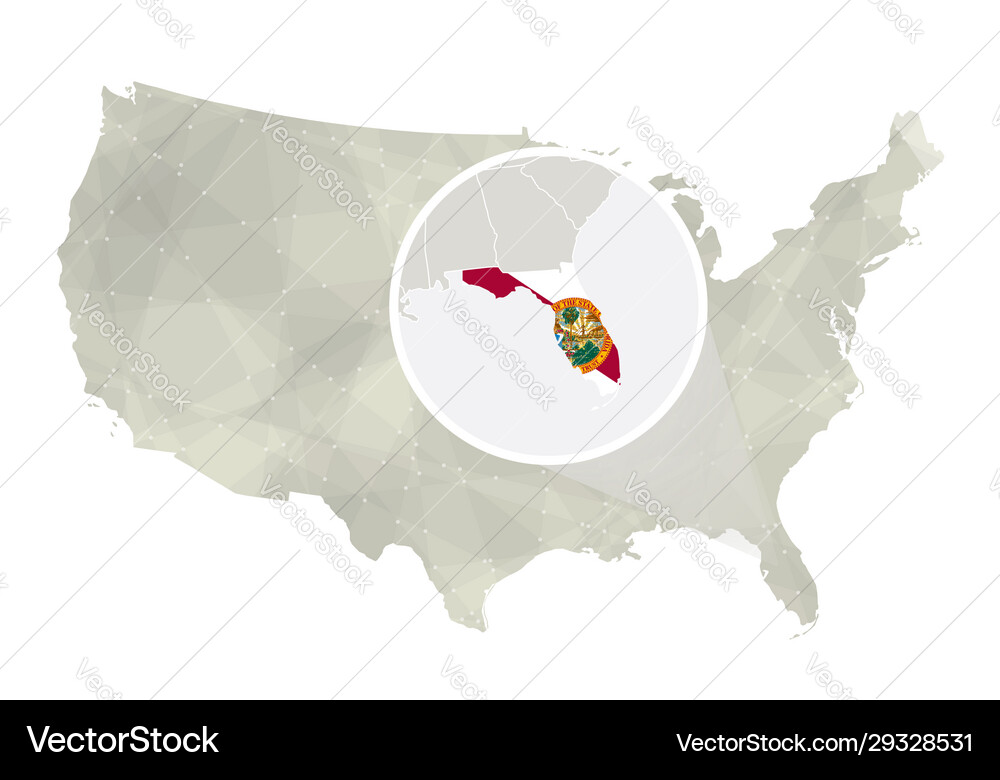 Polygonal abstract usa map with magnified florida Vector Image