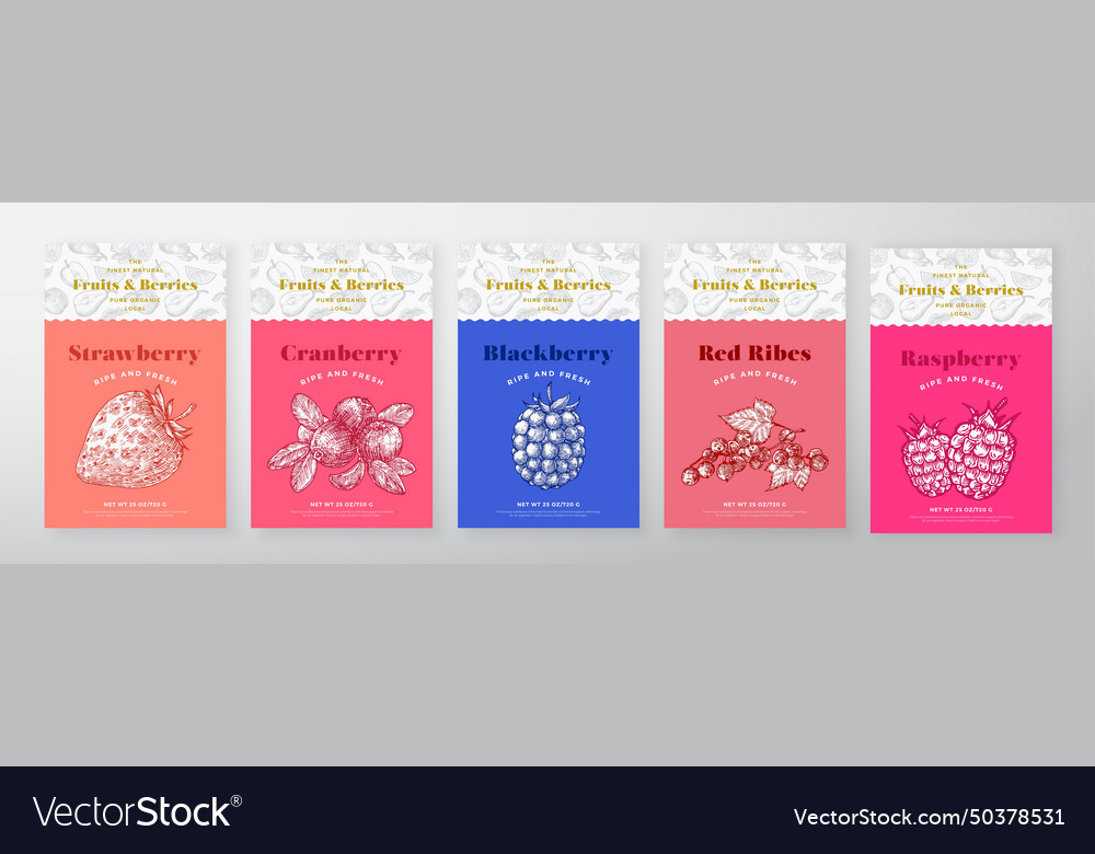 Raspberry berries and fruit pattern label Vector Image