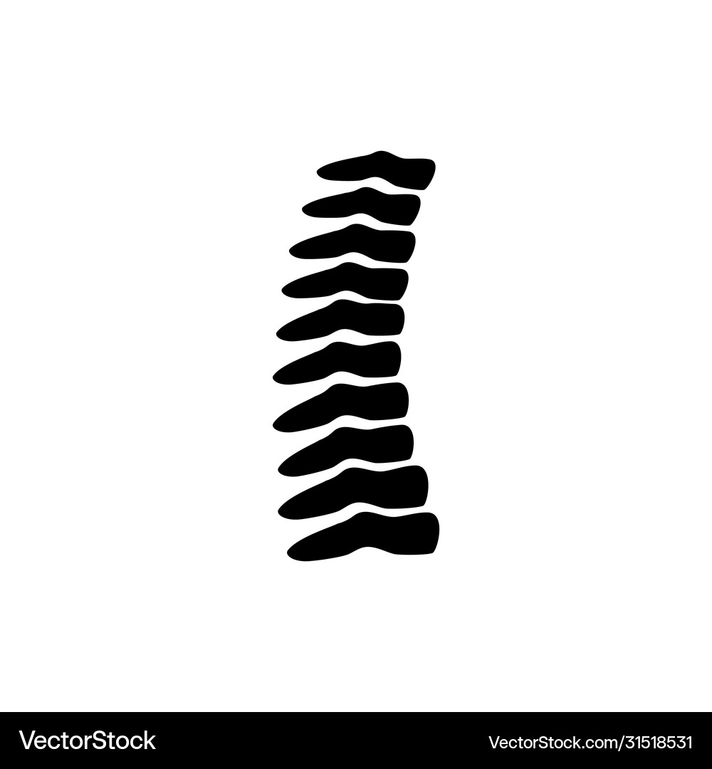 Spine orthopedic human skeleton vertebrae flat Vector Image