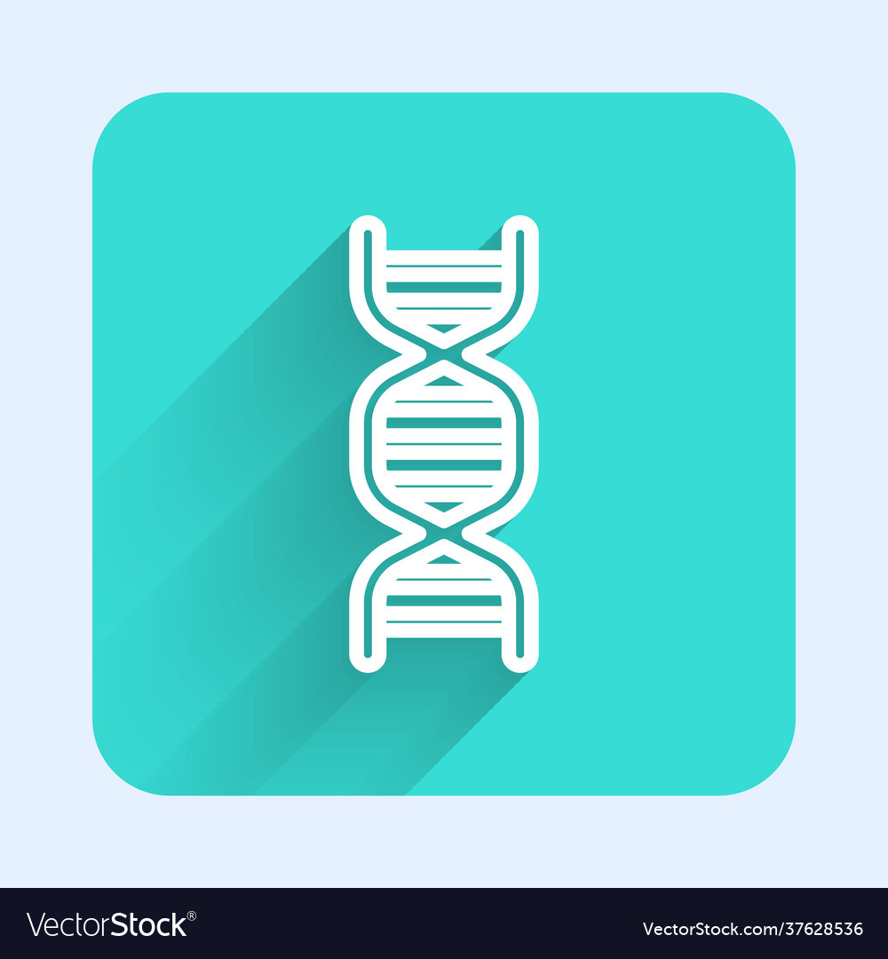 White line dna symbol icon isolated with long Vector Image