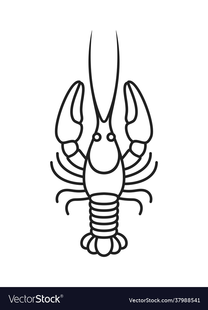 Crayfish Royalty Free Vector Image - VectorStock