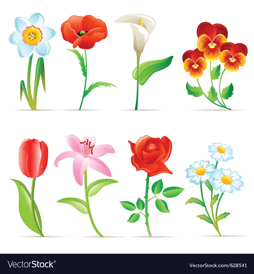 Flower set Royalty Free Vector Image - VectorStock