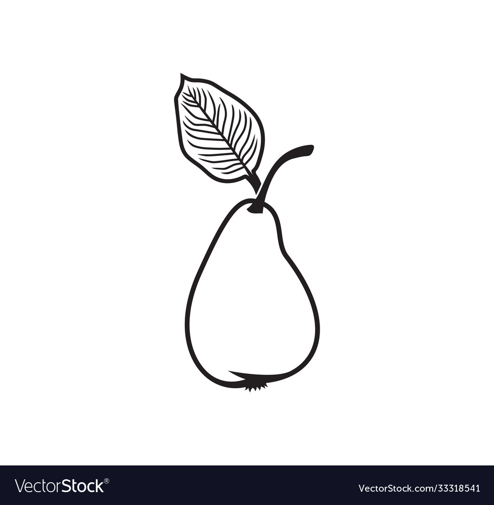 Pear Royalty Free Vector Image - VectorStock