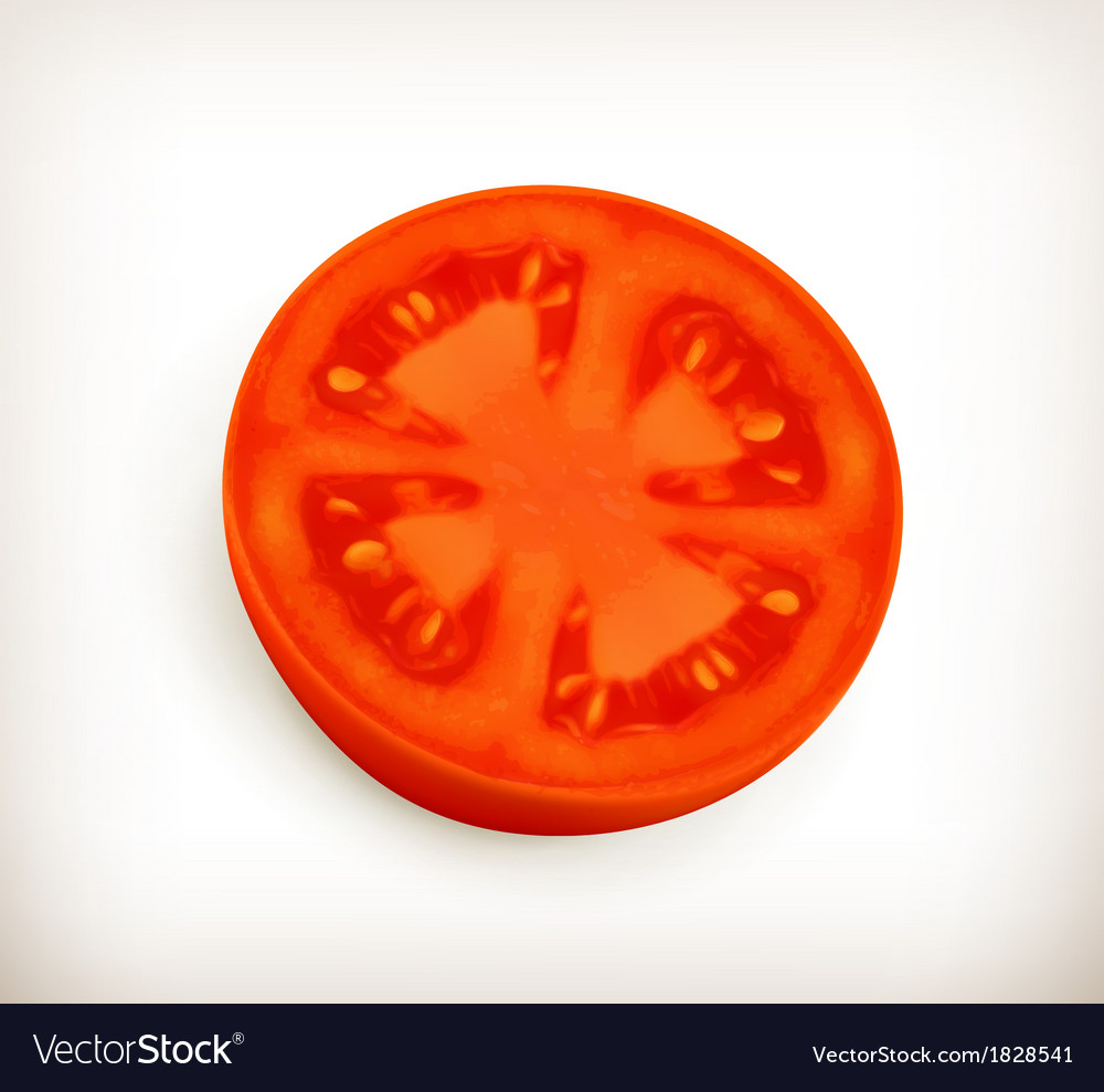 Slice tomato Royalty Free Vector Image - VectorStock