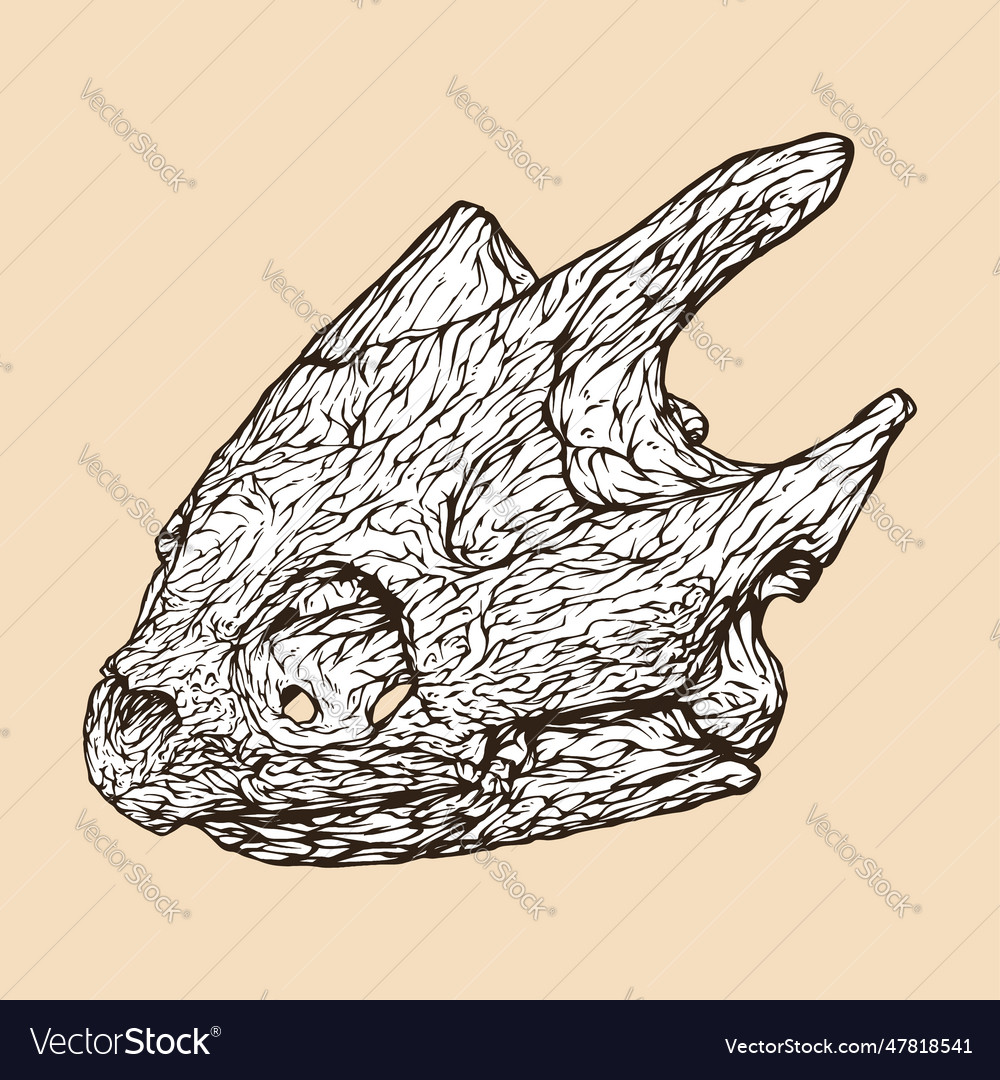 Snapping Turtle Footprint