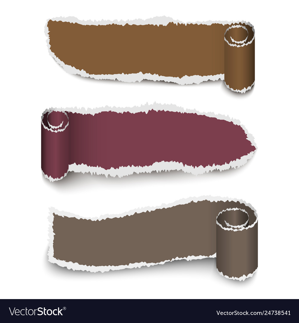 Torn paper Royalty Free Vector Image - VectorStock