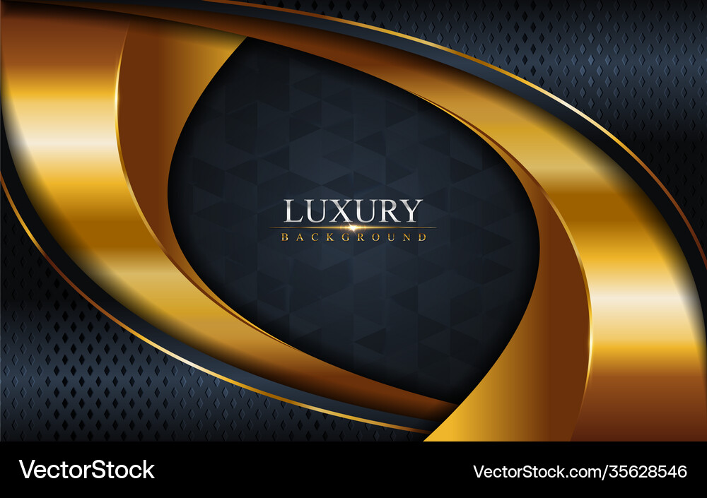 Luxury dark navy combination with golden lines Vector Image