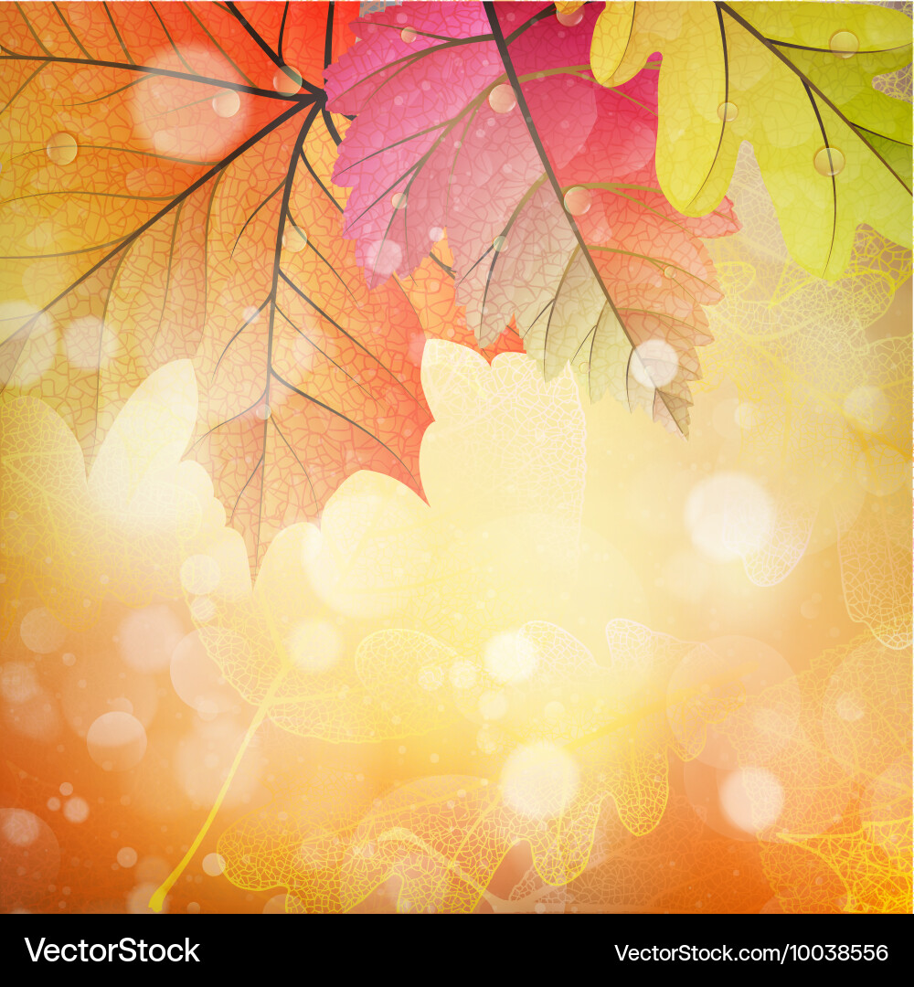 Beautiful autumn background with sun eps 10 Vector Image
