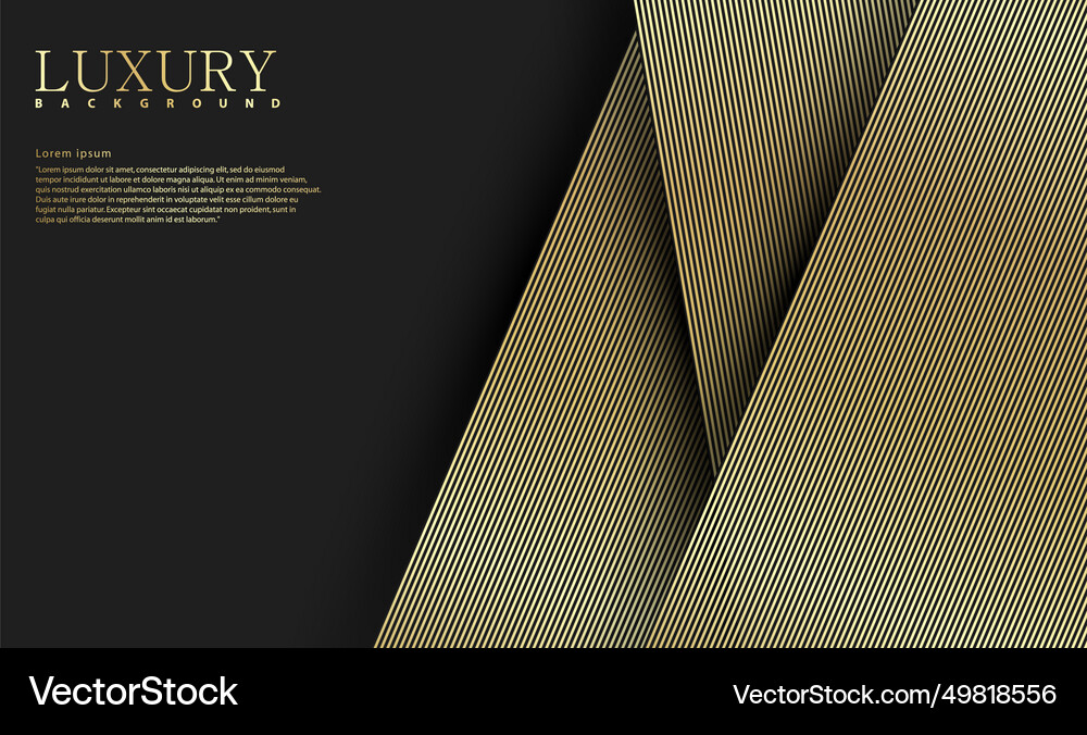 Black abstract premium background with golden Vector Image
