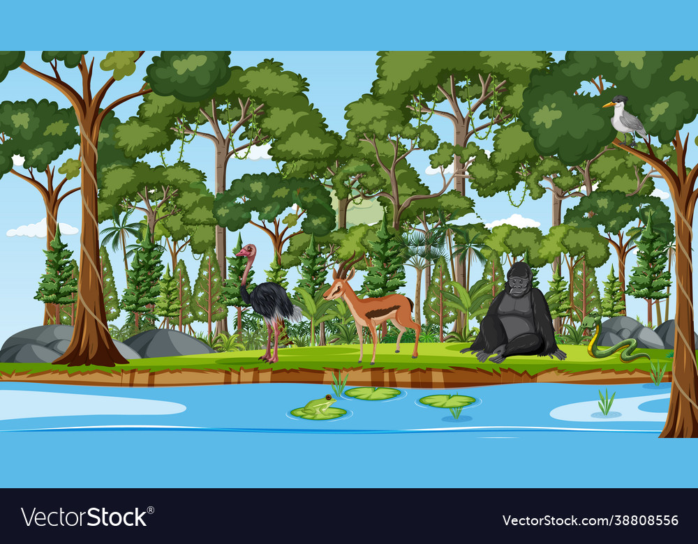 Forest scene with different wild animals Vector Image