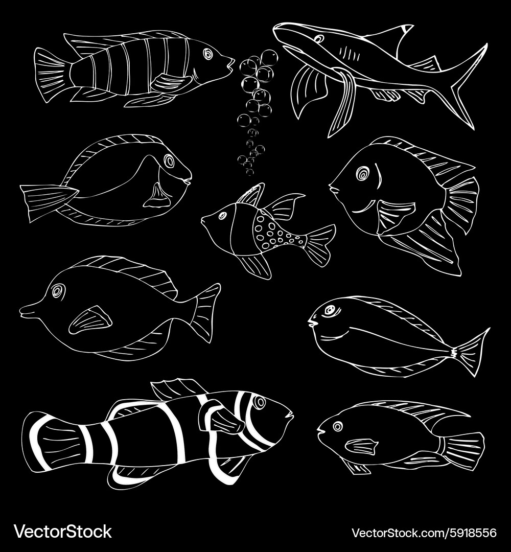 Sketch of sea fish Royalty Free Vector Image - VectorStock