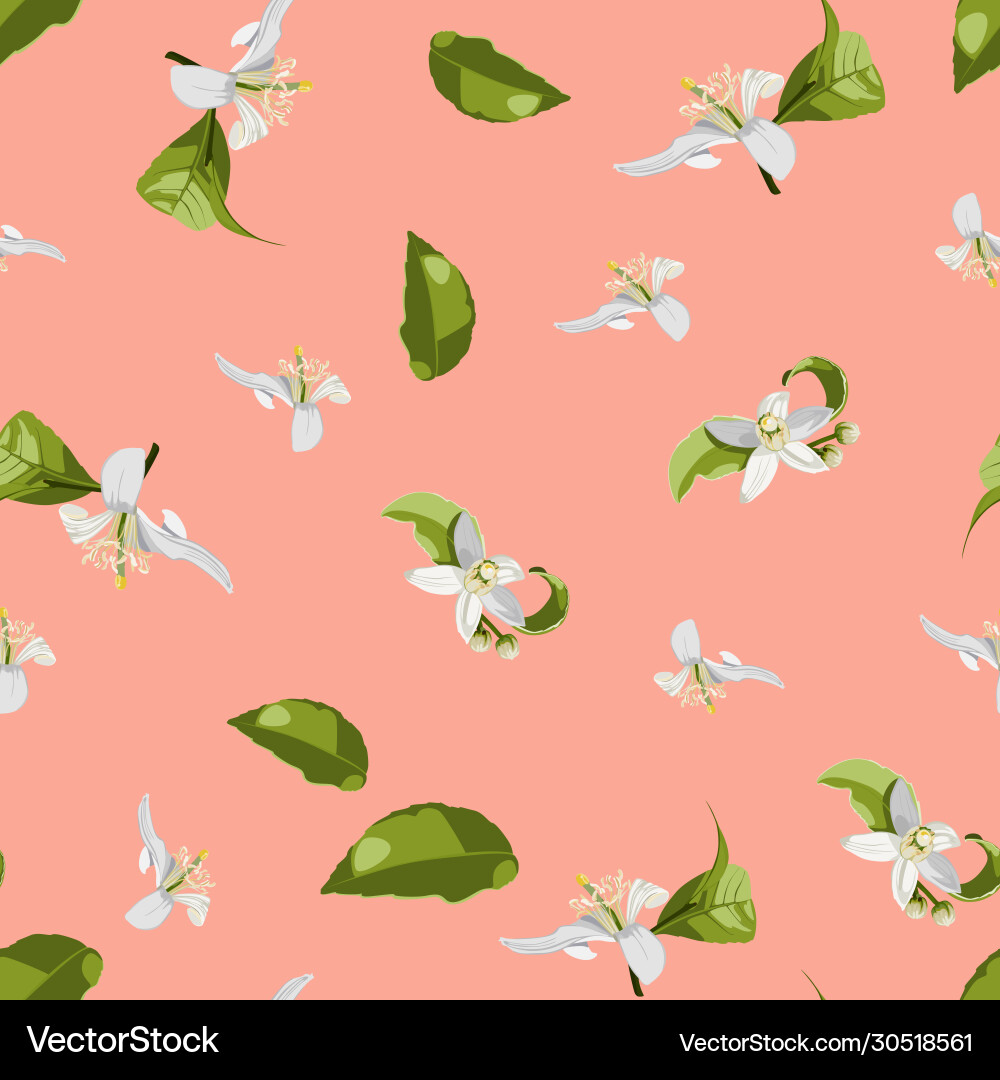 Citrus seamless pattern with leaves and flowers Vector Image