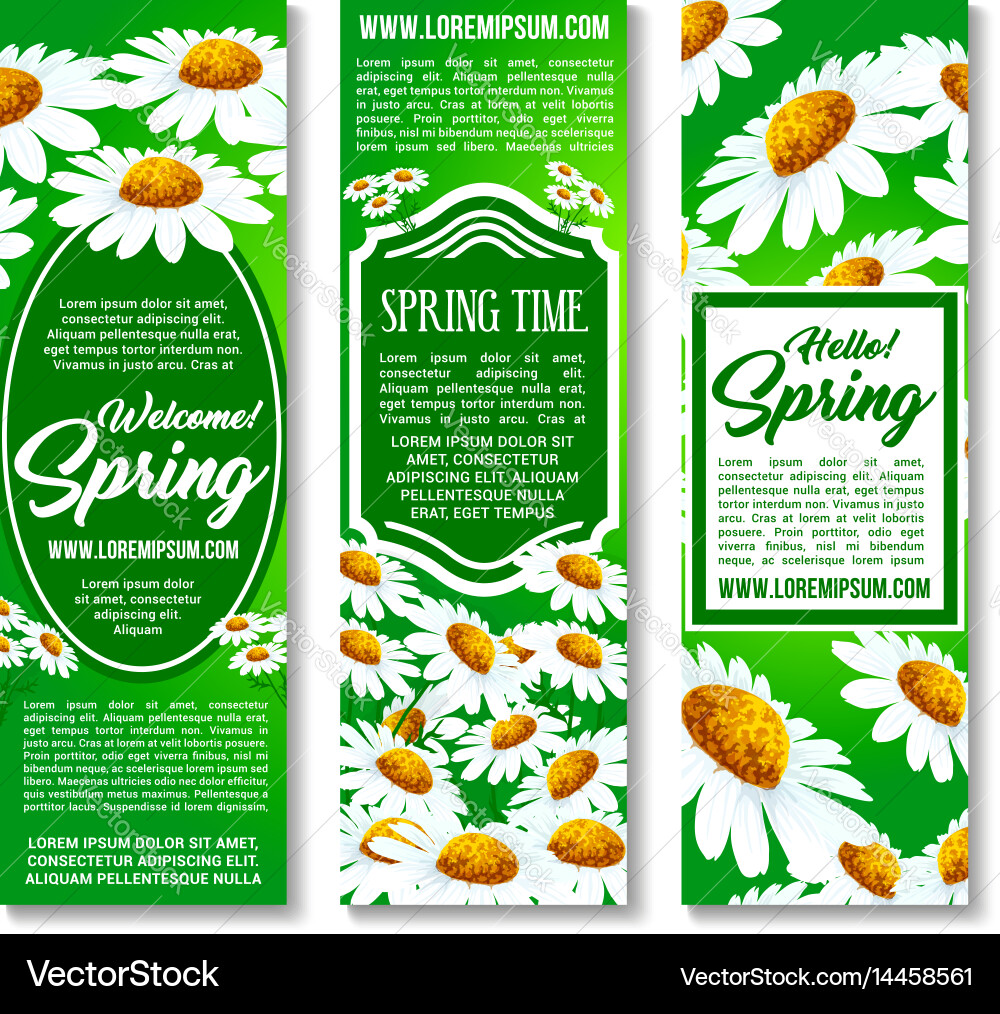 Hello spring floral banner set with daisy flowers Vector Image