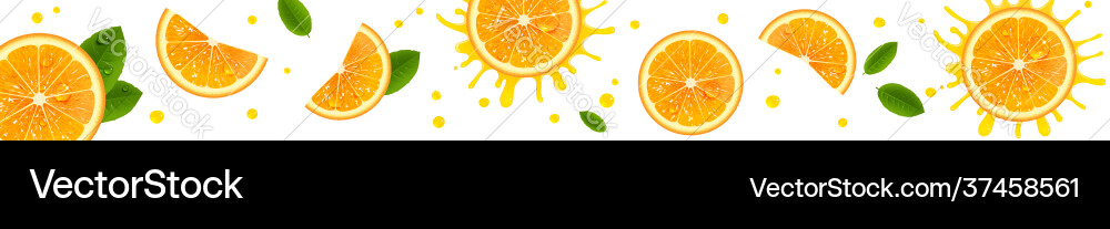 Horizontal banner with juicy orange slices Vector Image