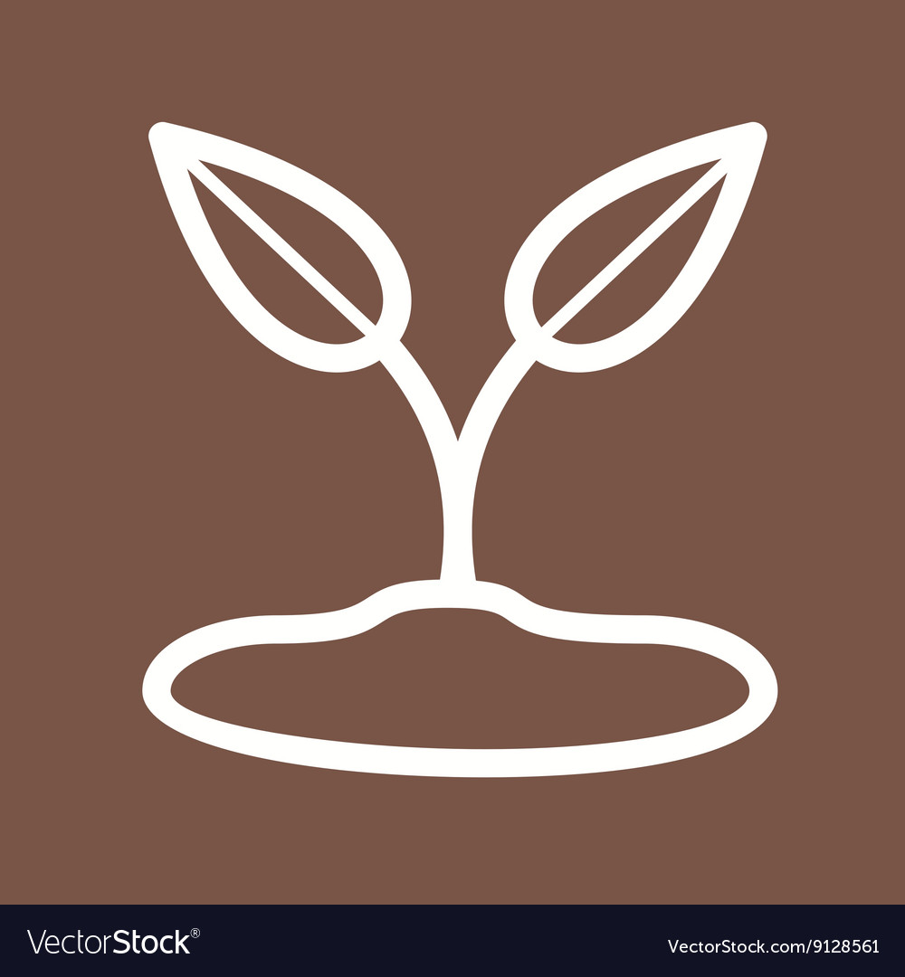 Sprout Royalty Free Vector Image - VectorStock
