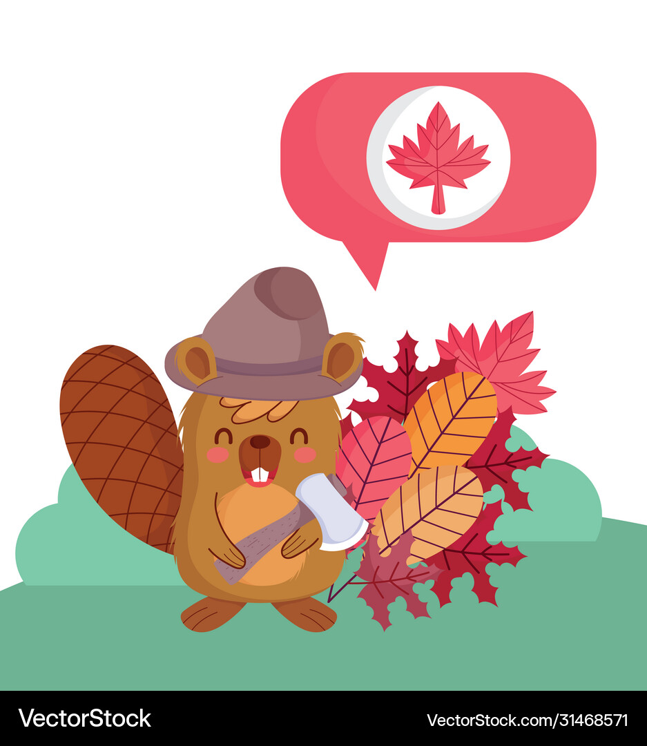 Beaver with canadian leaves and hat design Vector Image