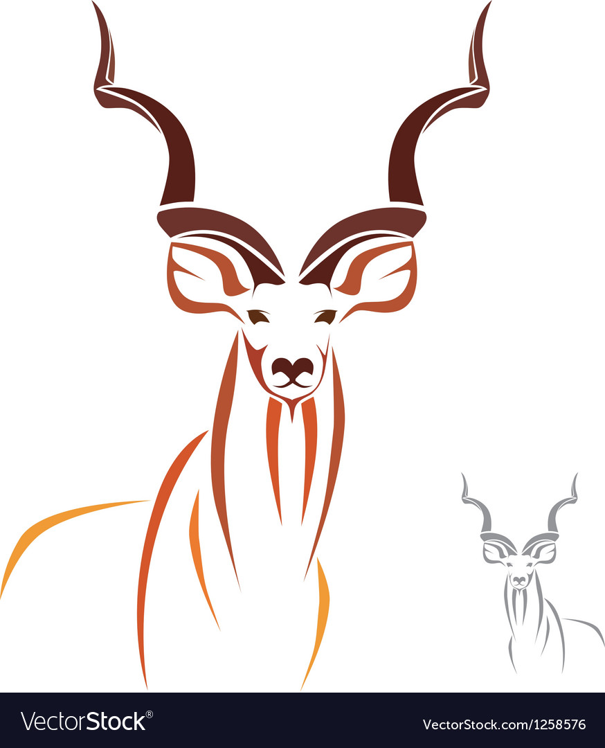 Kudu Royalty Free Vector Image - VectorStock