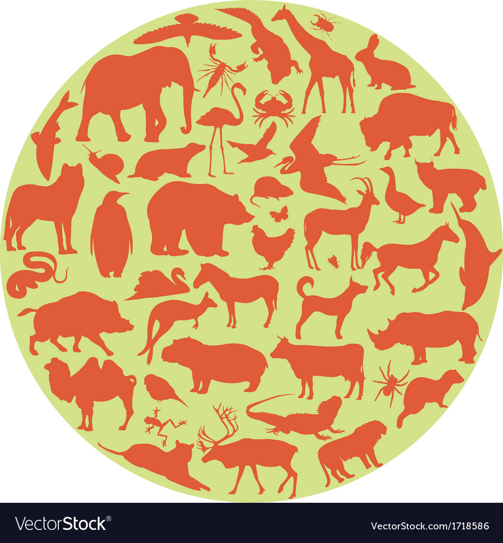 Animals Royalty Free Vector Image - VectorStock