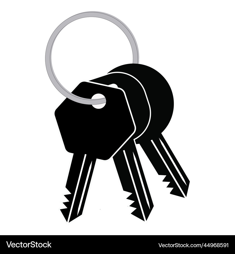 Home key icon safe key vehicle key Royalty Free Vector Image