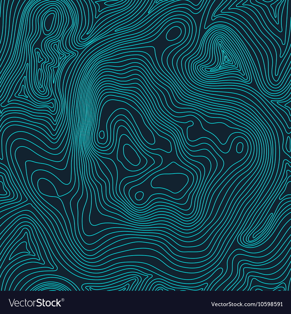 Topographic map background concept with space Vector Image Topographic map background concept with space Vector Image