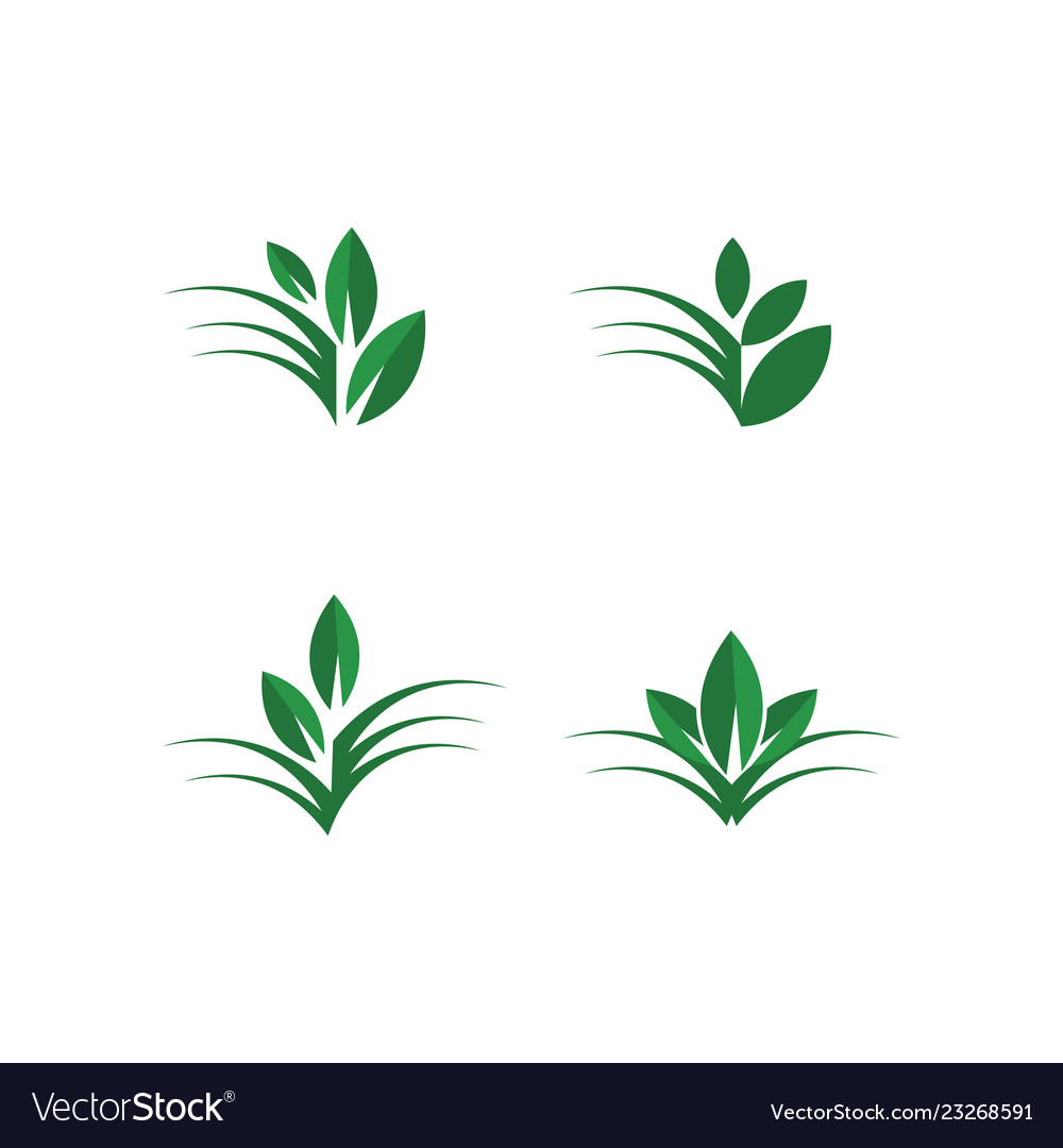 Tree leaf icon design template Royalty Free Vector Image