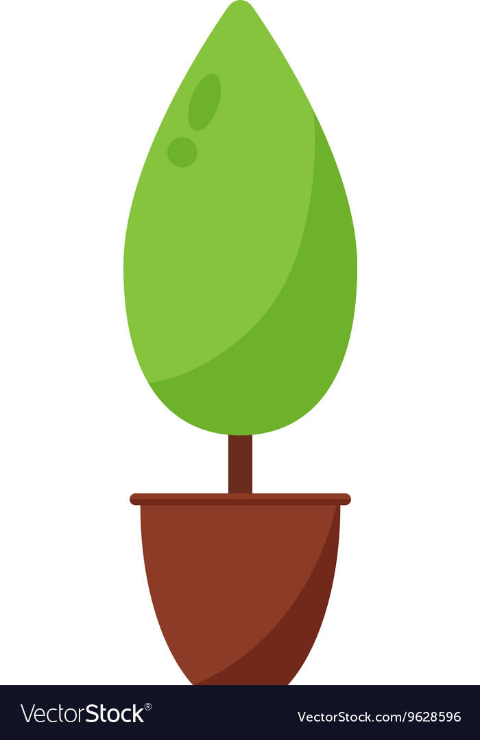 Garden tree Royalty Free Vector Image - VectorStock