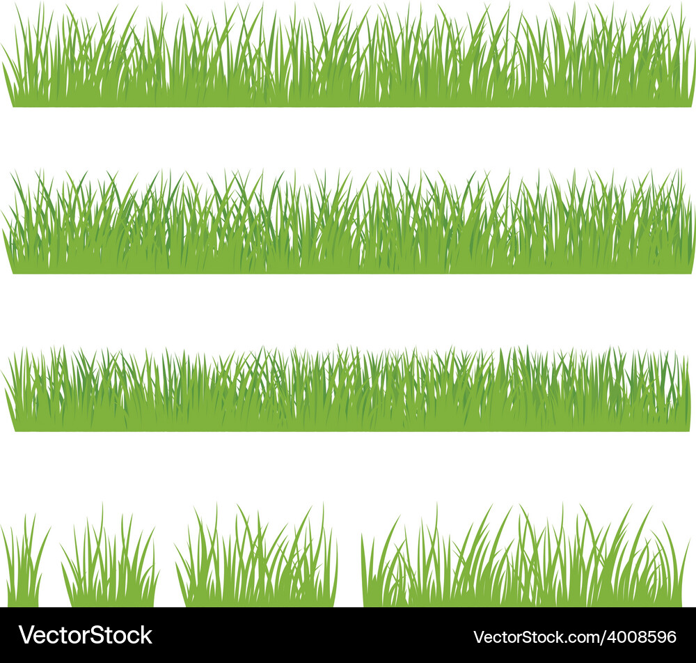 Set of green grass isolated on white background Vector Image