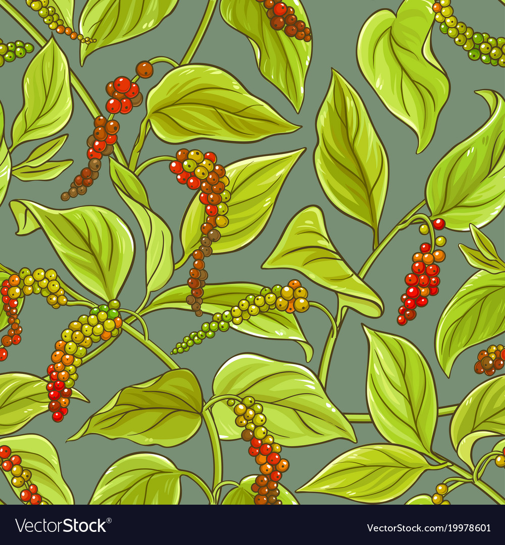 Black ground pepper pattern Royalty Free Vector Image
